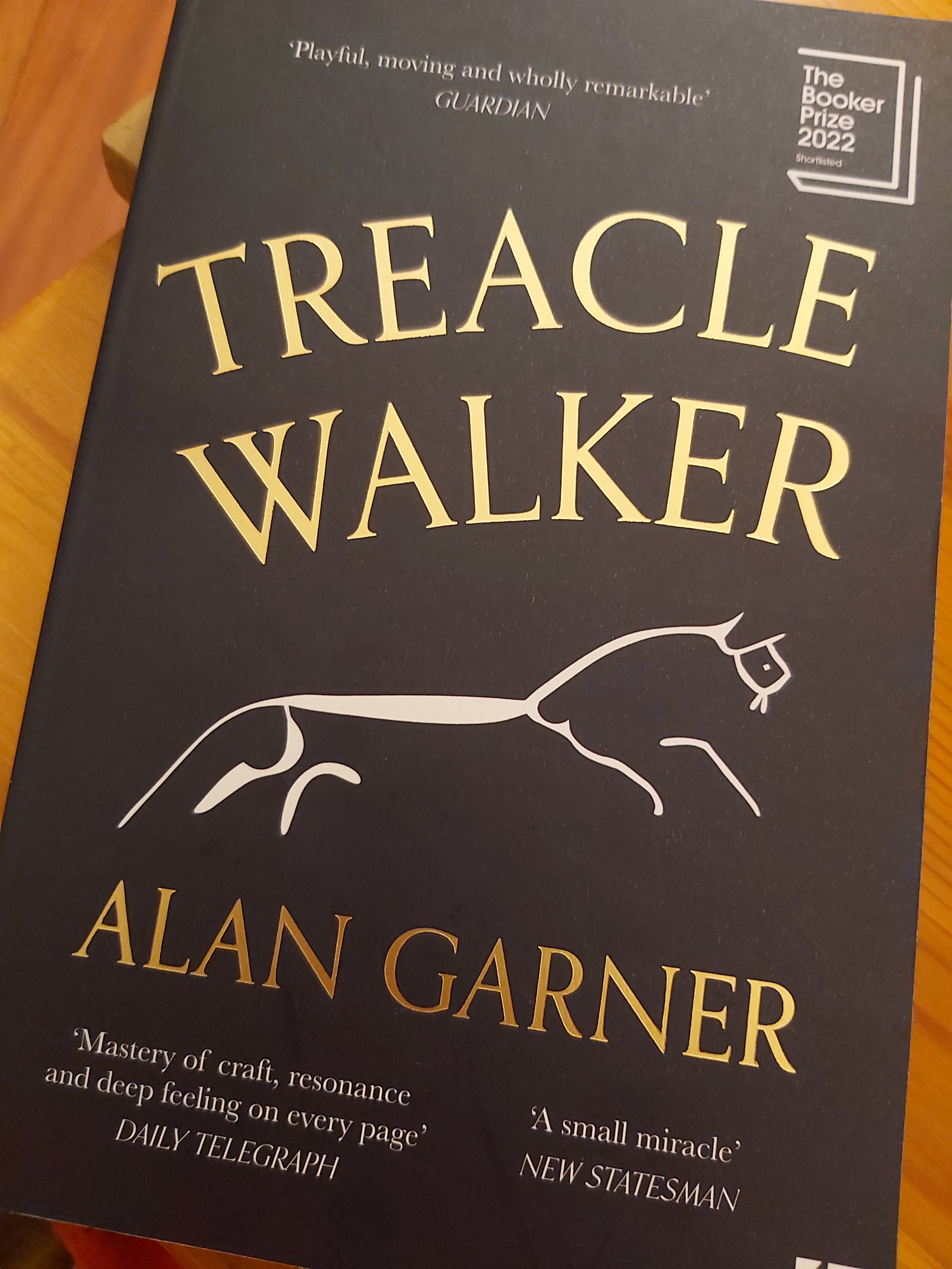 Walking though Treacle – Vee Walker writes…